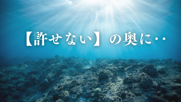 【許せない】気持ちと潜在意識｜NOMA （ノーマ）｜coconalaブログ